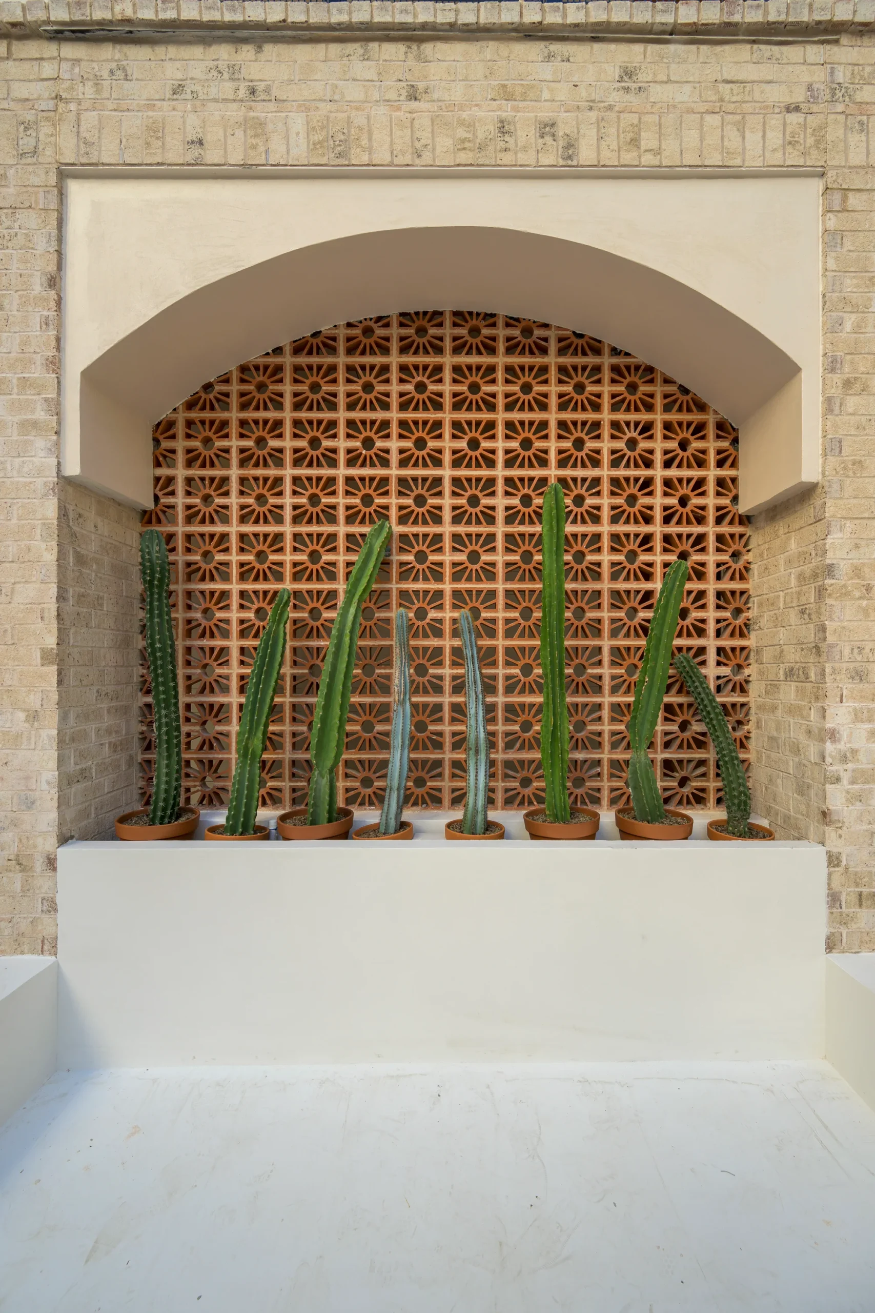 Riad Tile Showcases Artisan Encaustic Tile Collections for Contemporary ...